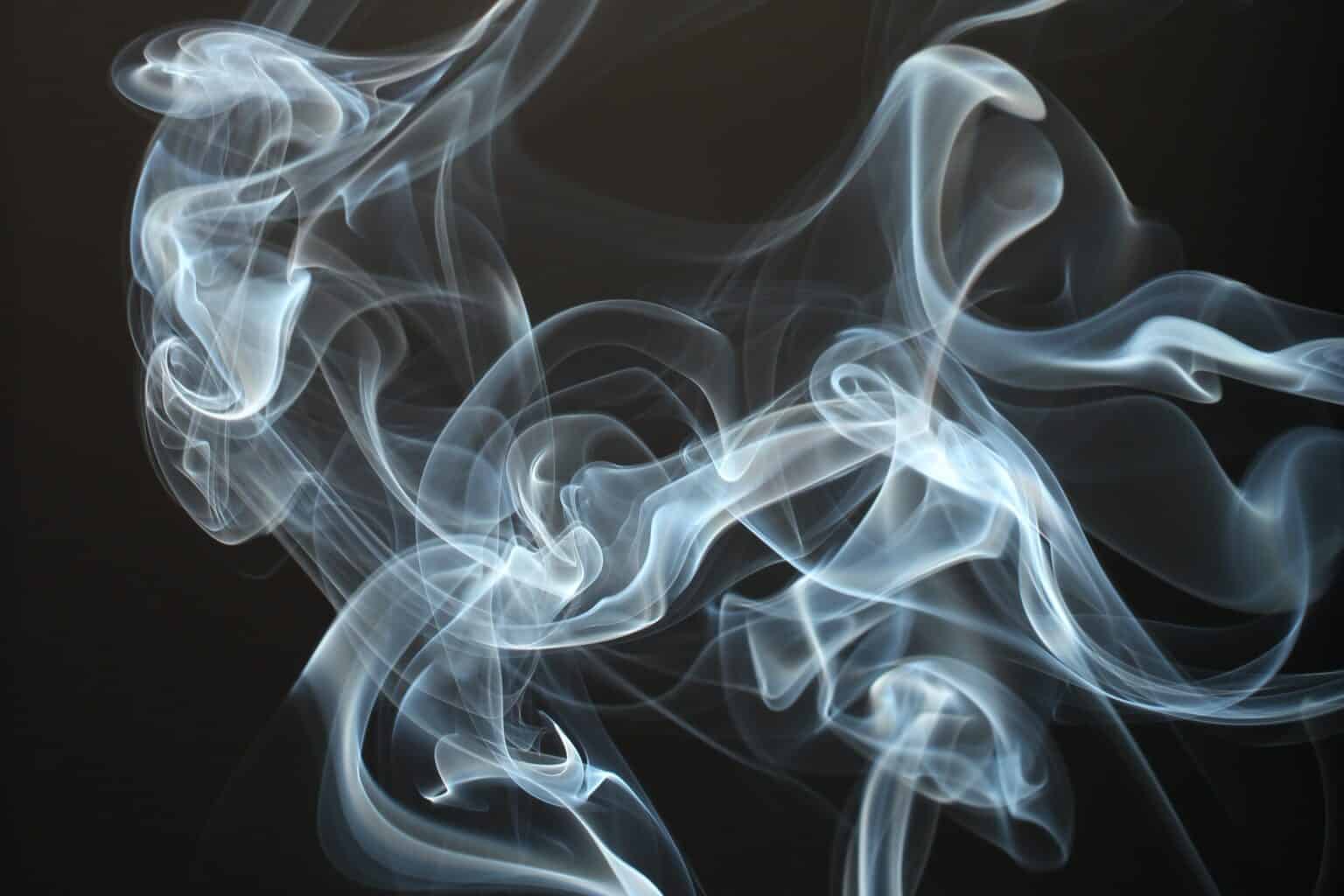 Smoke Damage Painting: Get the Primer We Use (#2 of 3) | Brad the Painter